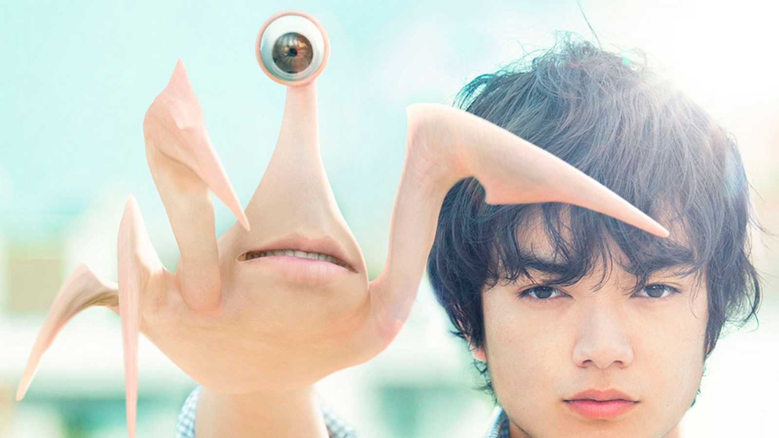 La fascinante Entomología de Xenos moutoni, un parásito raro